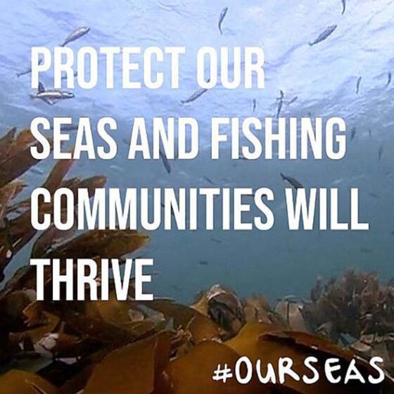 The Pebble Trust - Sustainable Fisheries Film - Our Seas