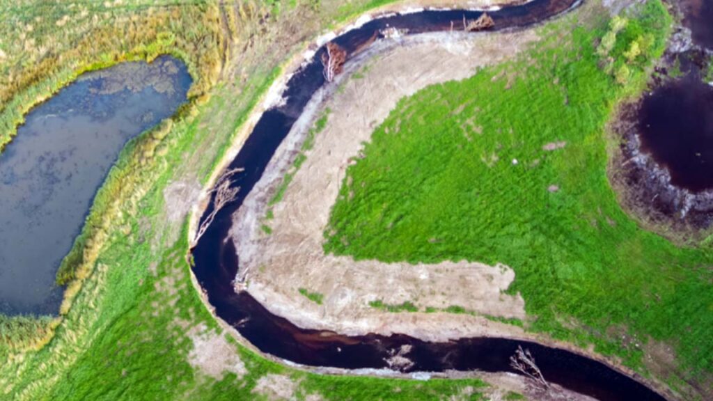 The Pebble Trust - River Peffery Restoration Project Final Report